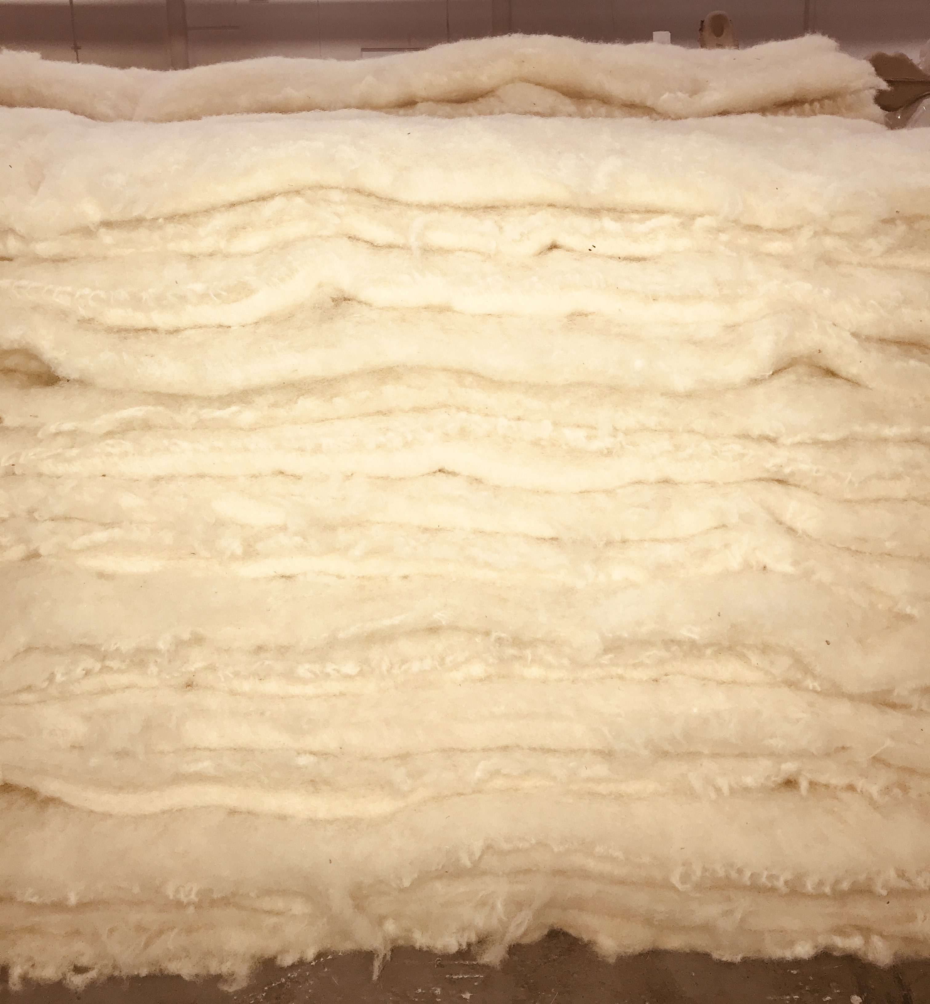 Why Wool Works – Havelock Wool Insulation