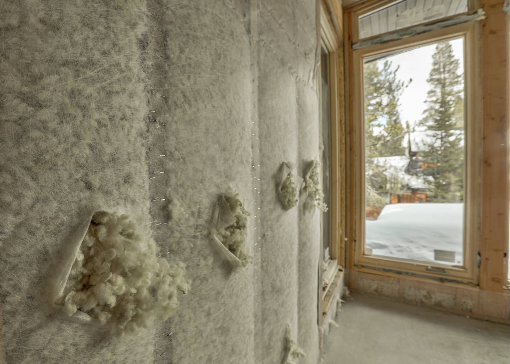 What’s New at Havelock Wool – Havelock Wool Insulation