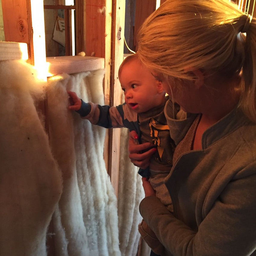 Wool Insulation Applications – Havelock Wool Insulation