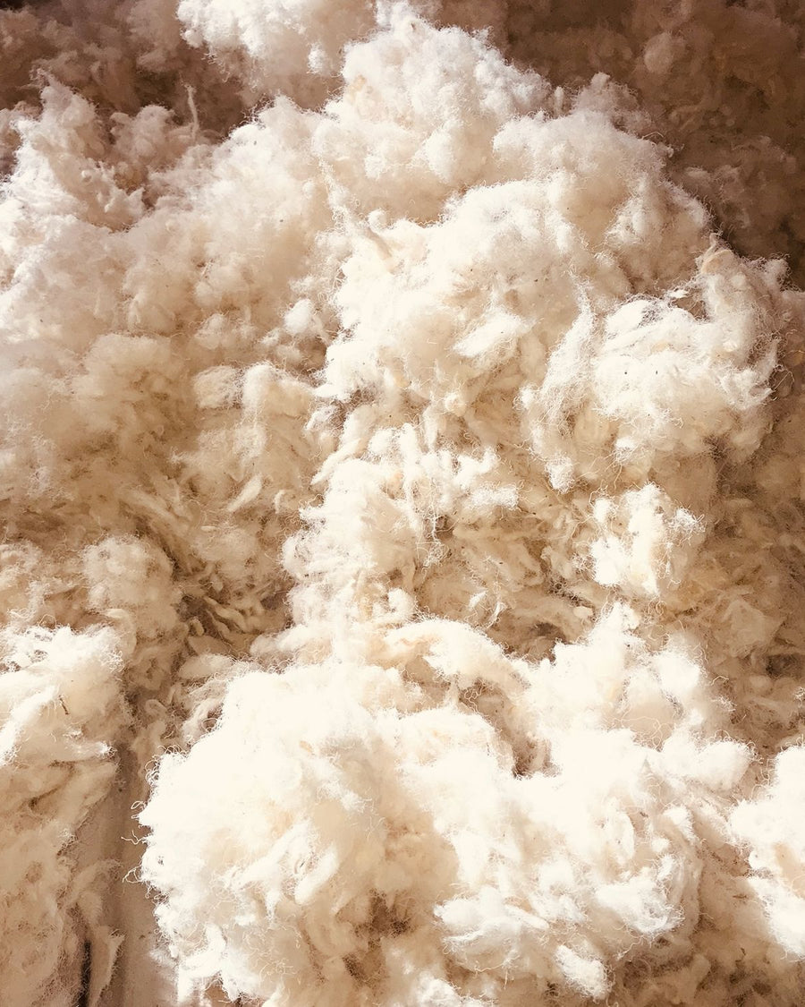 Havelock Wool Residential Insulation – Havelock Wool Insulation