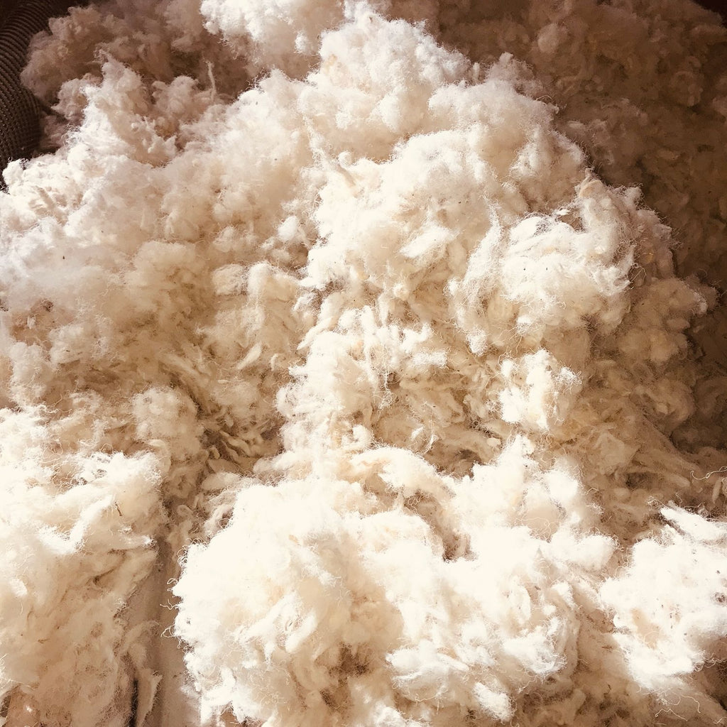 Havelock Wool Blown-In Insulation – Havelock Wool Insulation